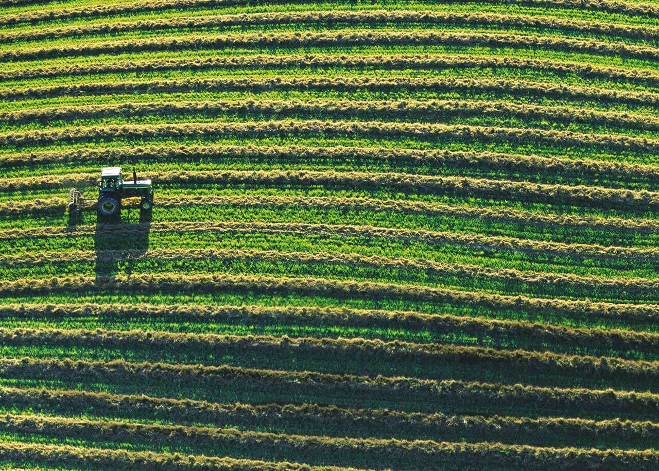 La nostra gamma di fondi multi asset | Columbia Threadneedle Investments